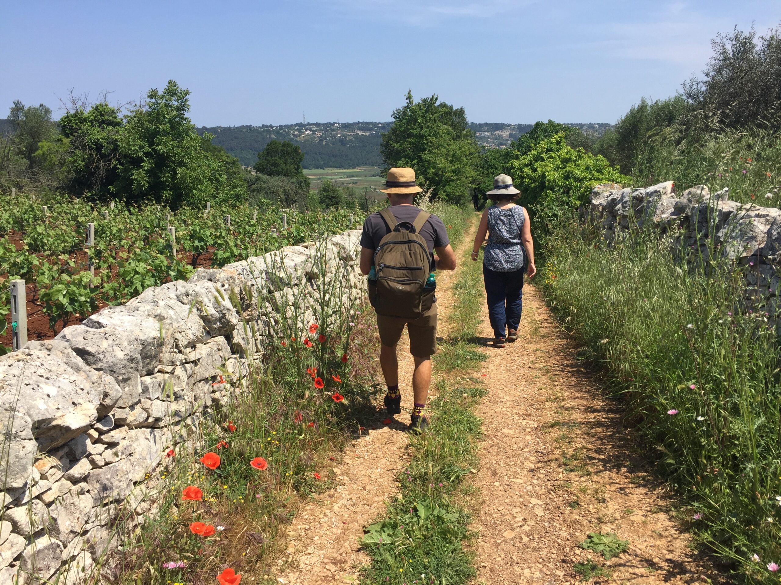Puglia Walking Tour | Italy With Pleasure